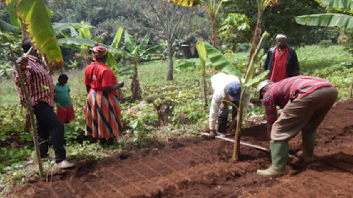 Planting Gift Trees in Africa, Asia and Australia | The Gifted Tree